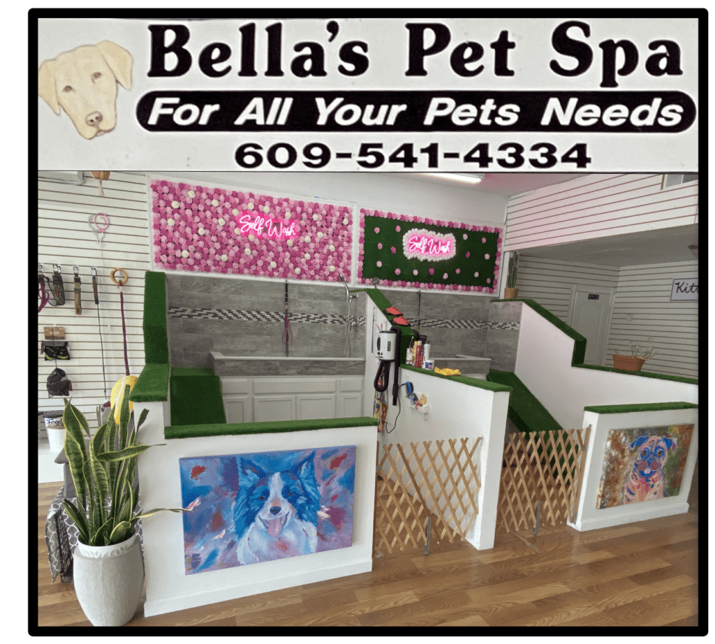 Bella's Pet Spa - Visit Ventnor